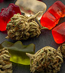 HealthyChildren.org - From the American Academy of Pediatrics