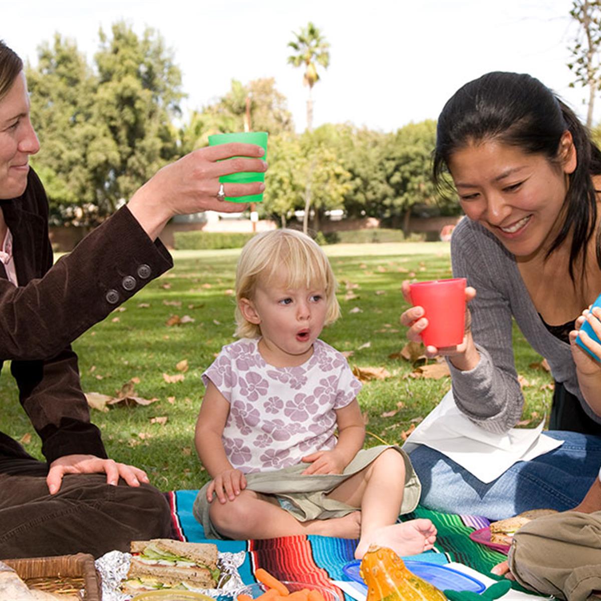 Healthy Active Living for Families: The 5-2-1-0 Approach ...