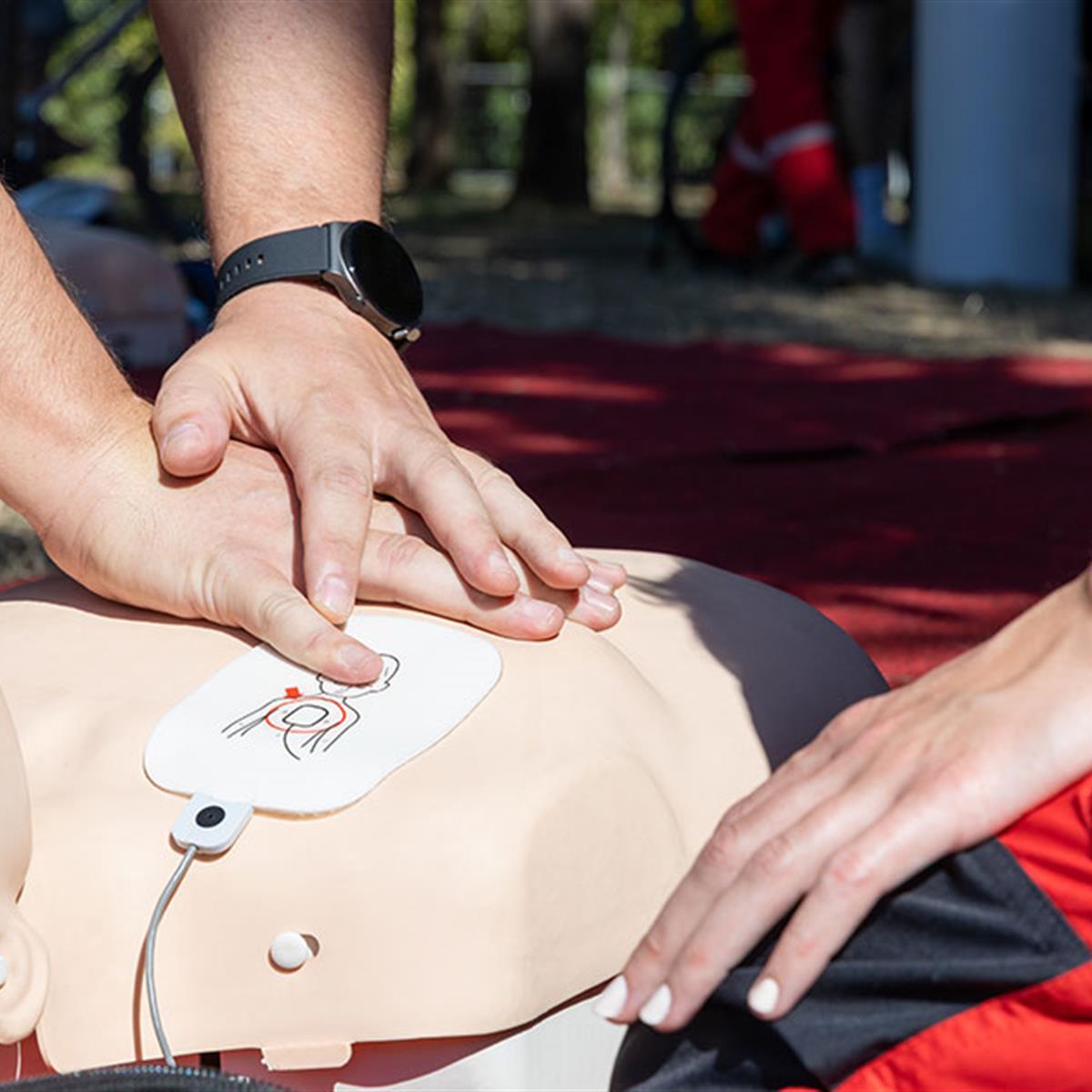 Preparing for Sudden Cardiac Arrest in Schools: The Essential Role of ...